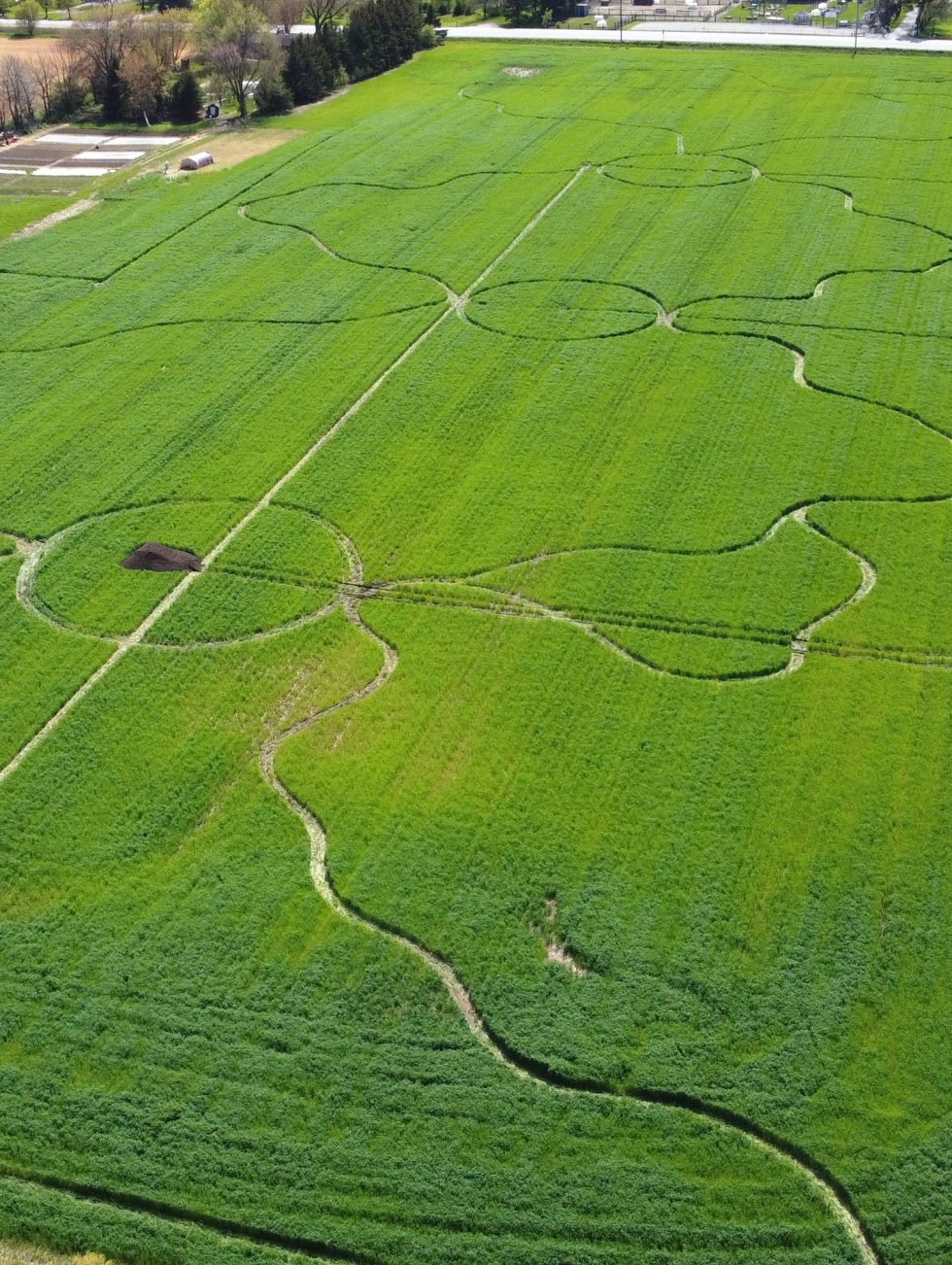 Monocrop Farm Archives - 220KM Inc.